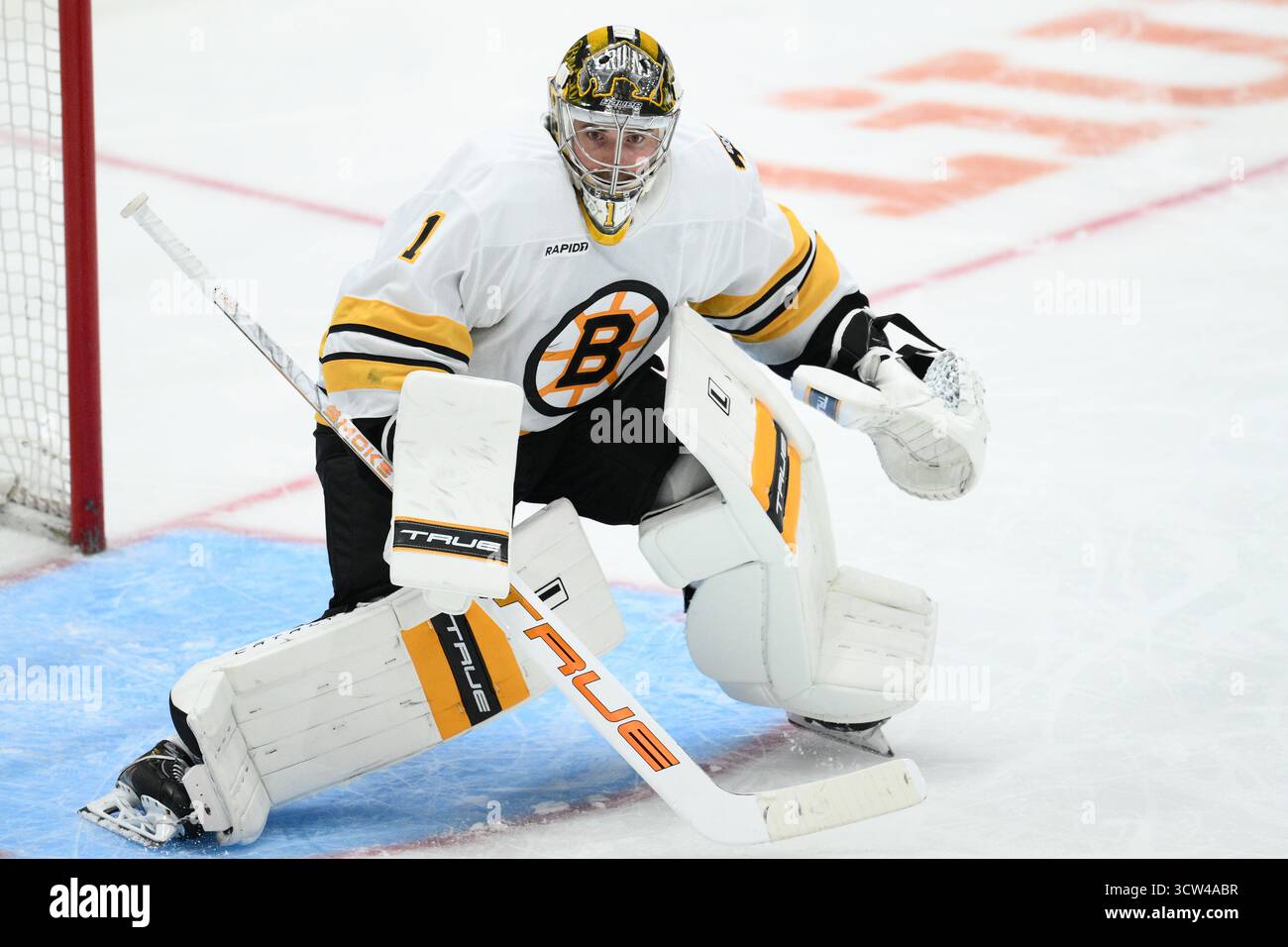 Boston Bruins goaltender Jeremy Swayman (1) in action during the third ...