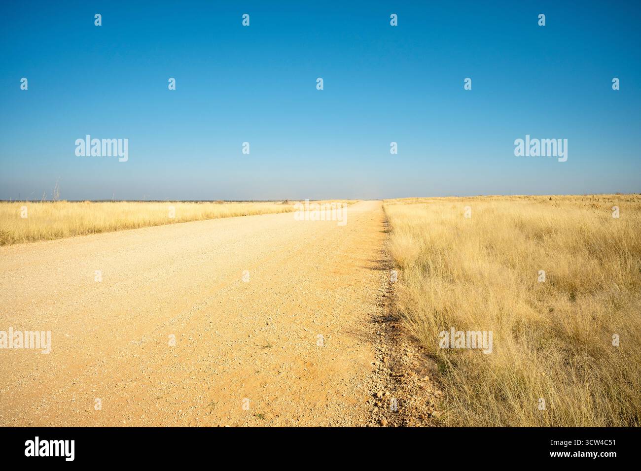 Outjo district hi-res stock photography and images - Alamy