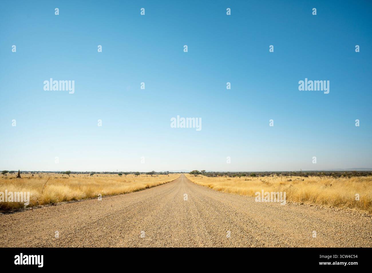 Dirt road winding through the savanna of Outjo District, Namibia ...