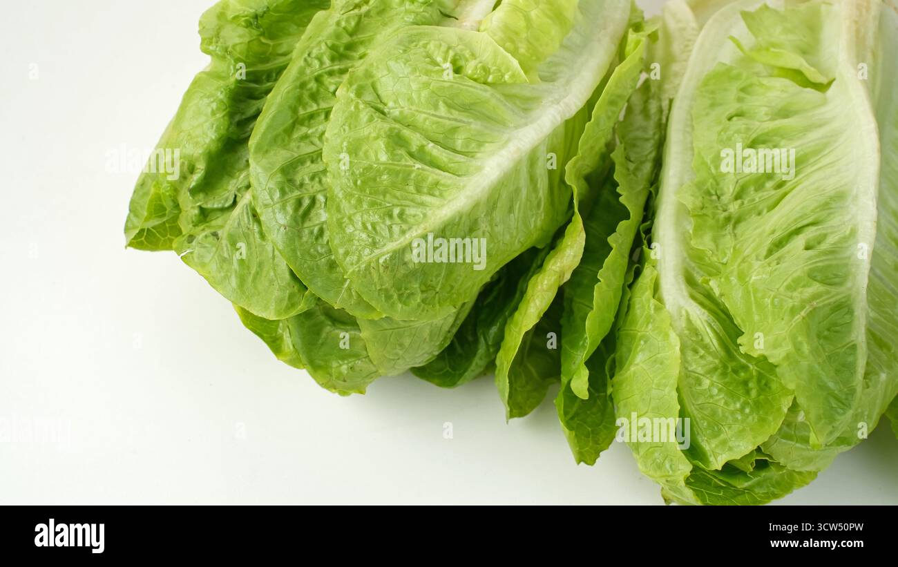Selada cos hi-res stock photography and images - Alamy