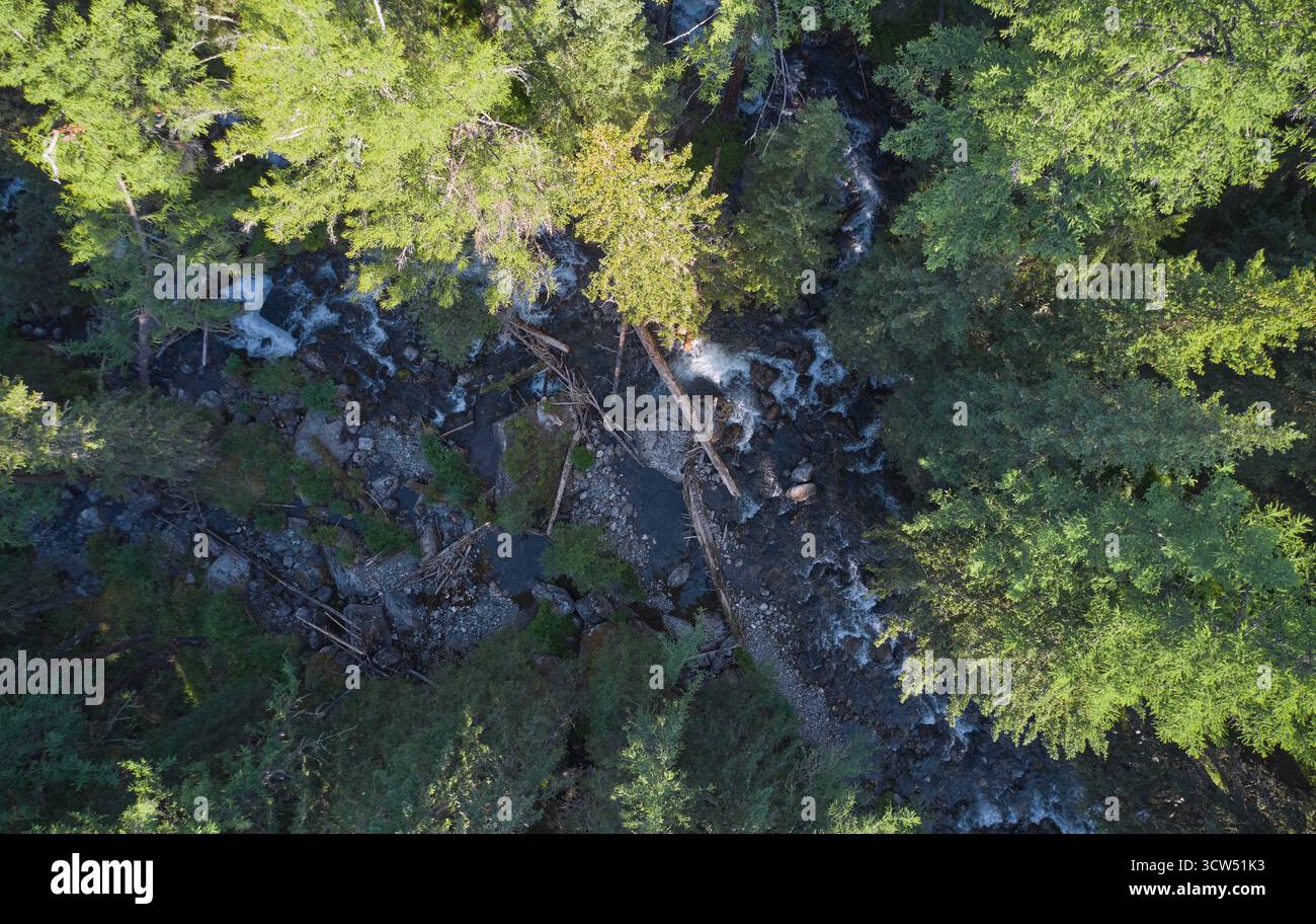 Aerial drone photo of Altai river Upper Kulash. Camera looks down. On ...