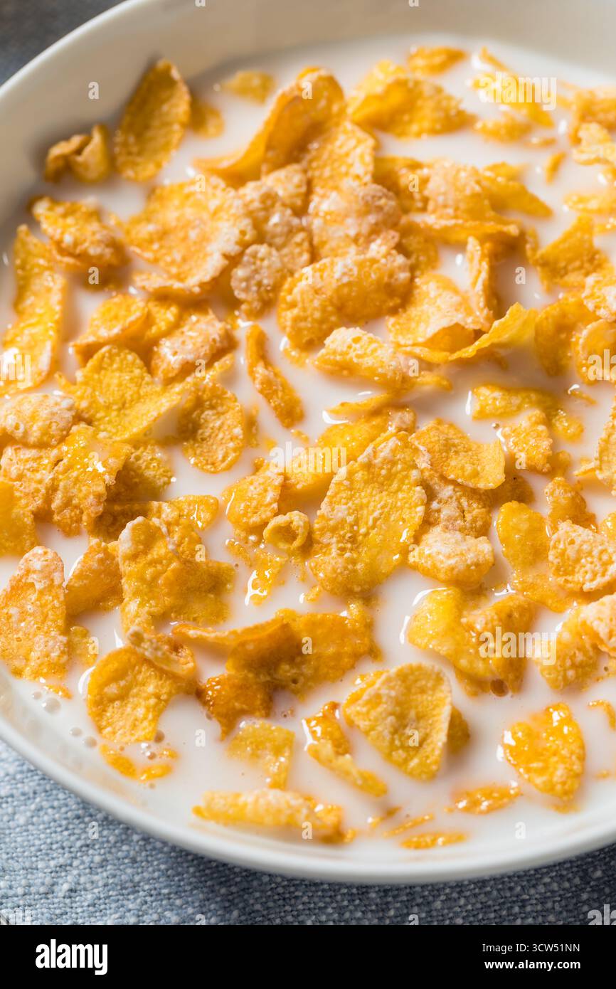 Healthy Frosted Corn Flake Breakfast Cereal with Whole Milk Stock Photo - Alamy