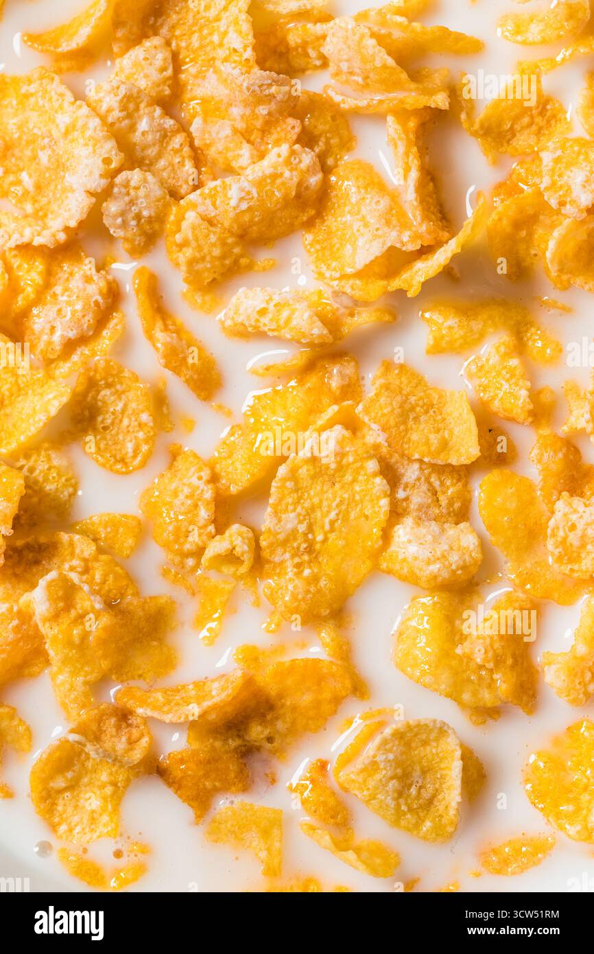Healthy Frosted Corn Flake Breakfast Cereal with Whole Milk Stock Photo ...