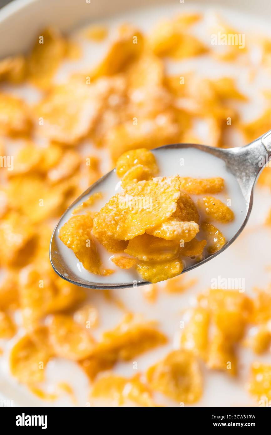 Healthy Frosted Corn Flake Breakfast Cereal with Whole Milk Stock Photo - Alamy