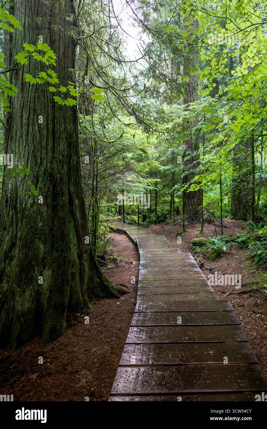 Serene coastal path inviting hi-res stock photography and images - Alamy