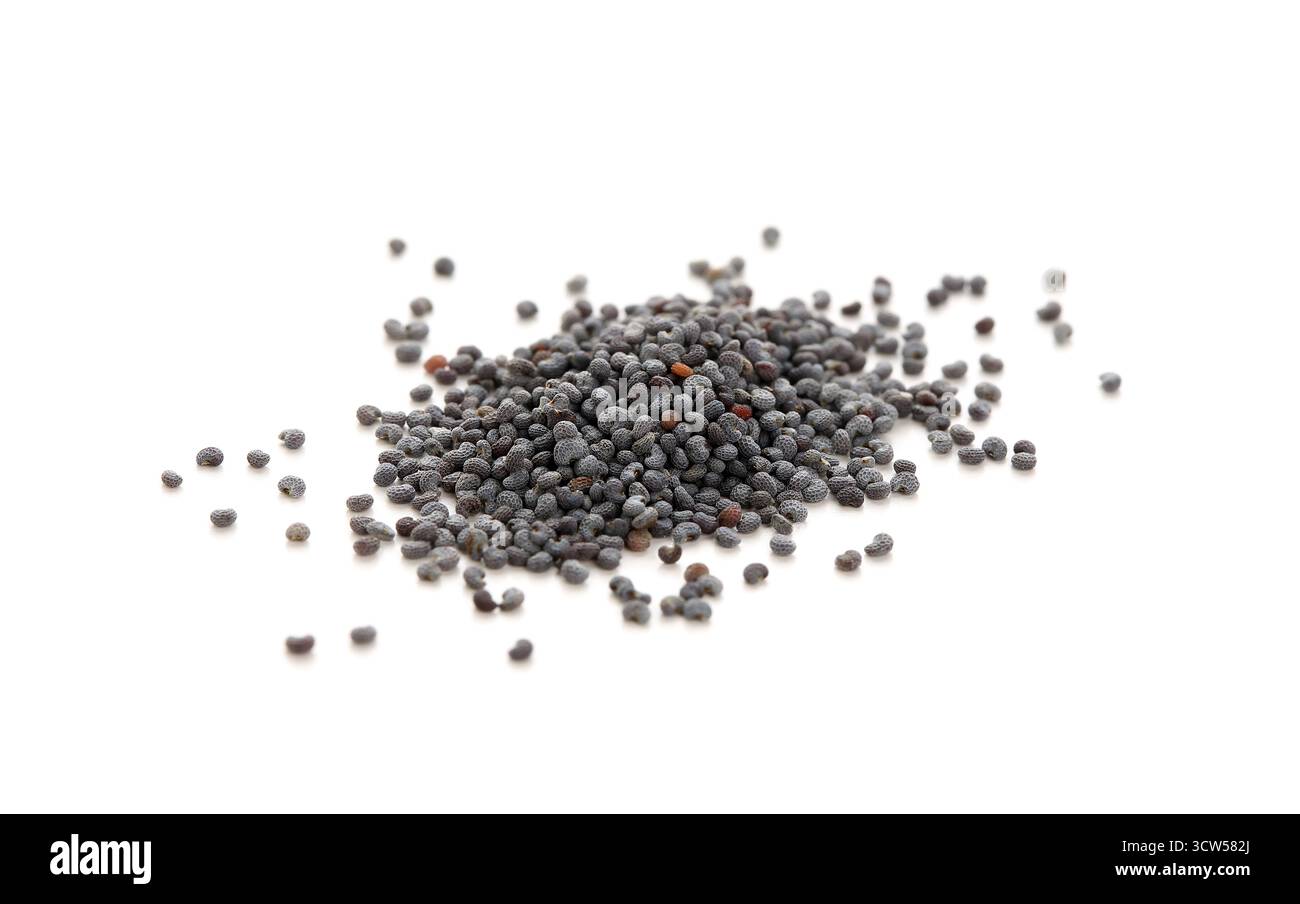 Dried poppy seeds plant Cut Out Stock Images & Pictures - Alamy