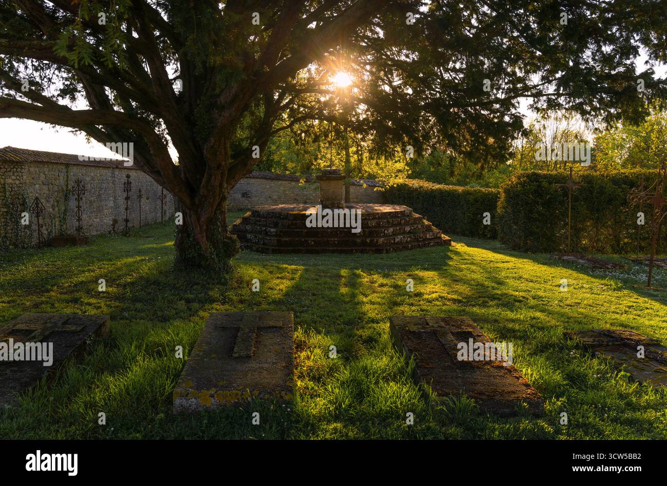 Medieval stone tombs with bas-relief crosses and a cross on an altar ...