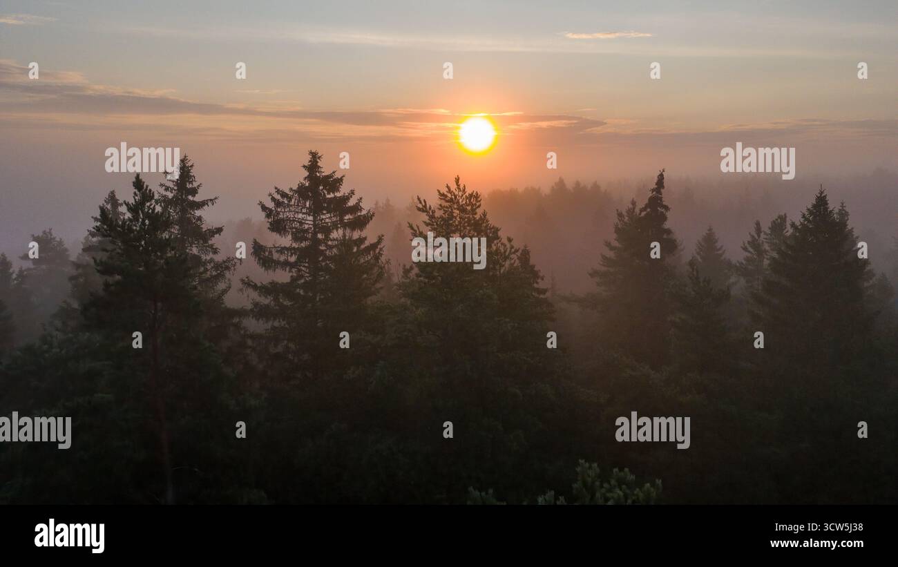 Aerial view of the sun piercing through the misty forest canopy ...