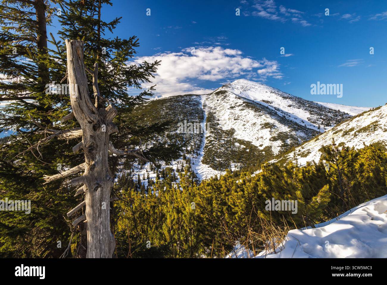 Snow-capped mountain peak, winter landscape. The Velky Krivan peak in ...