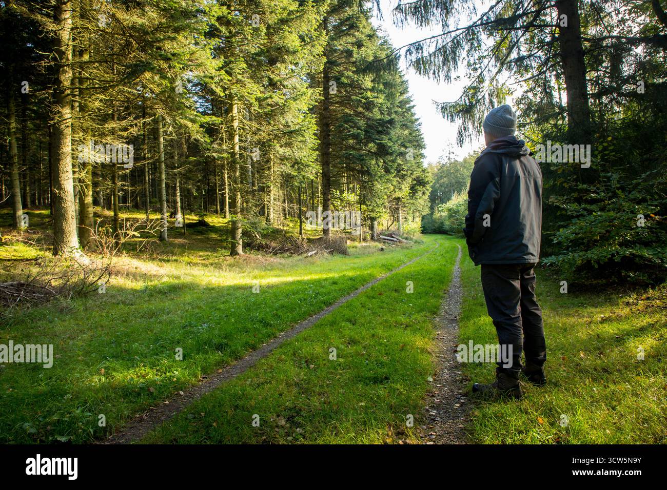 man standing in winter clothes beside forest path looking down path ...