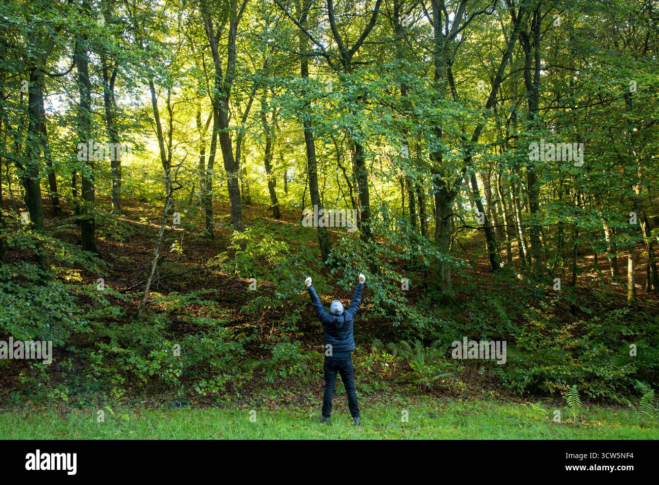 Man with arms in air towards green forest showing love for nature, man ...