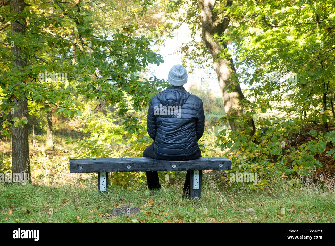 loneliness image of man sitting alone on bench in forest looking out ...
