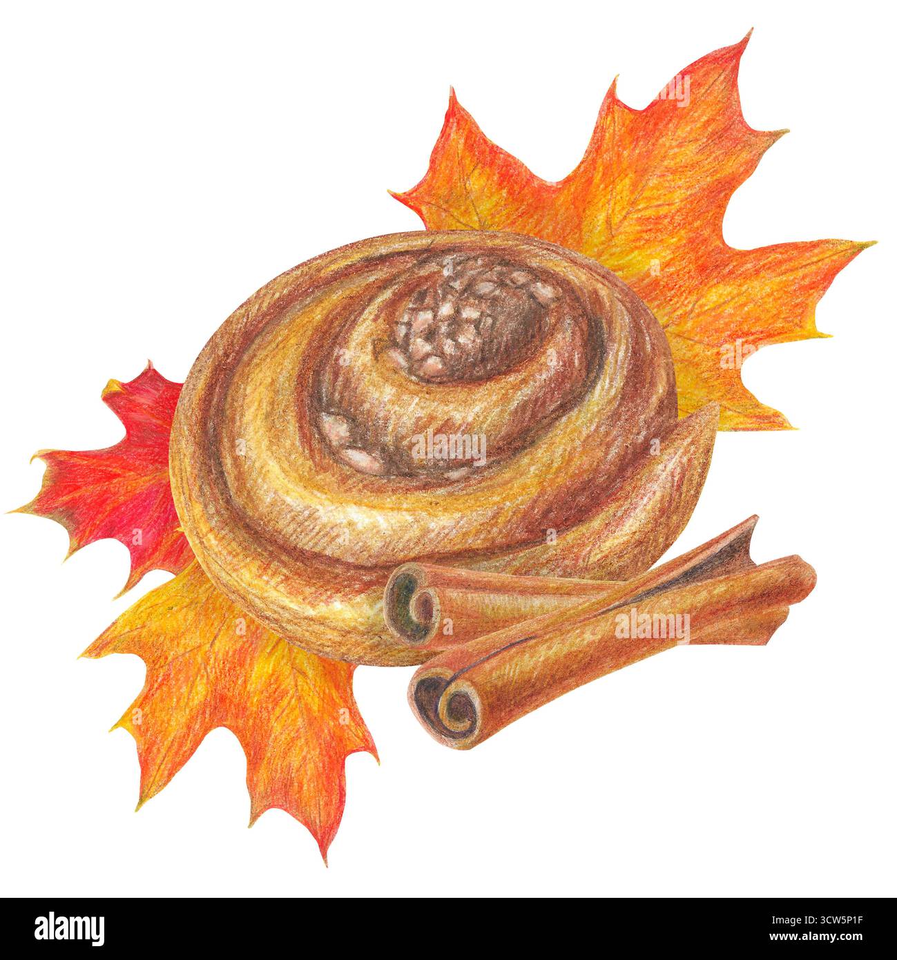 Hand drawn illustration with cinnamon bun, cinnamon and autumn maple ...