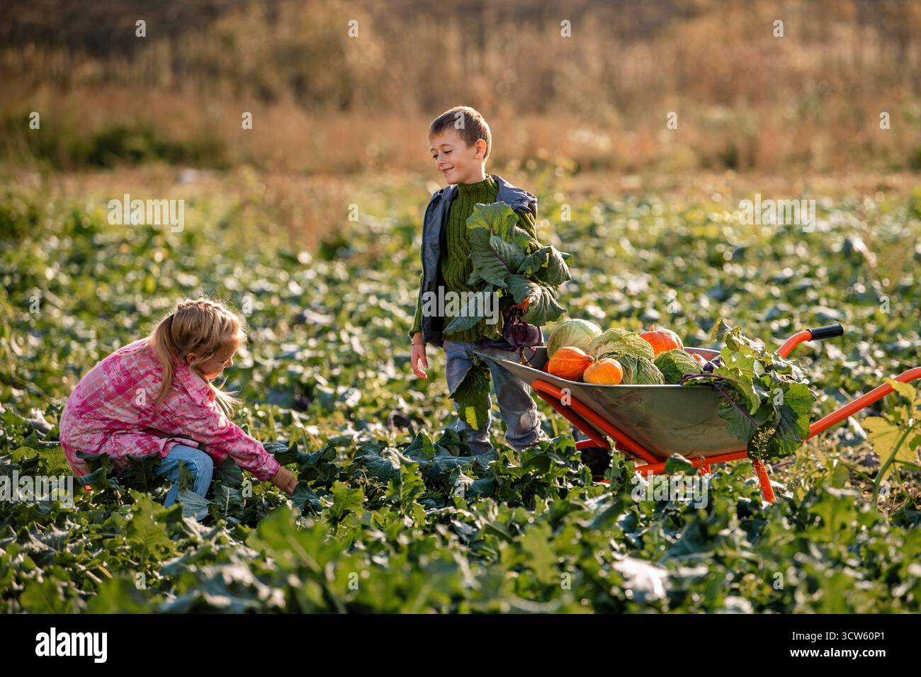 Farmers happy brother sister hi-res stock photography and images - Alamy