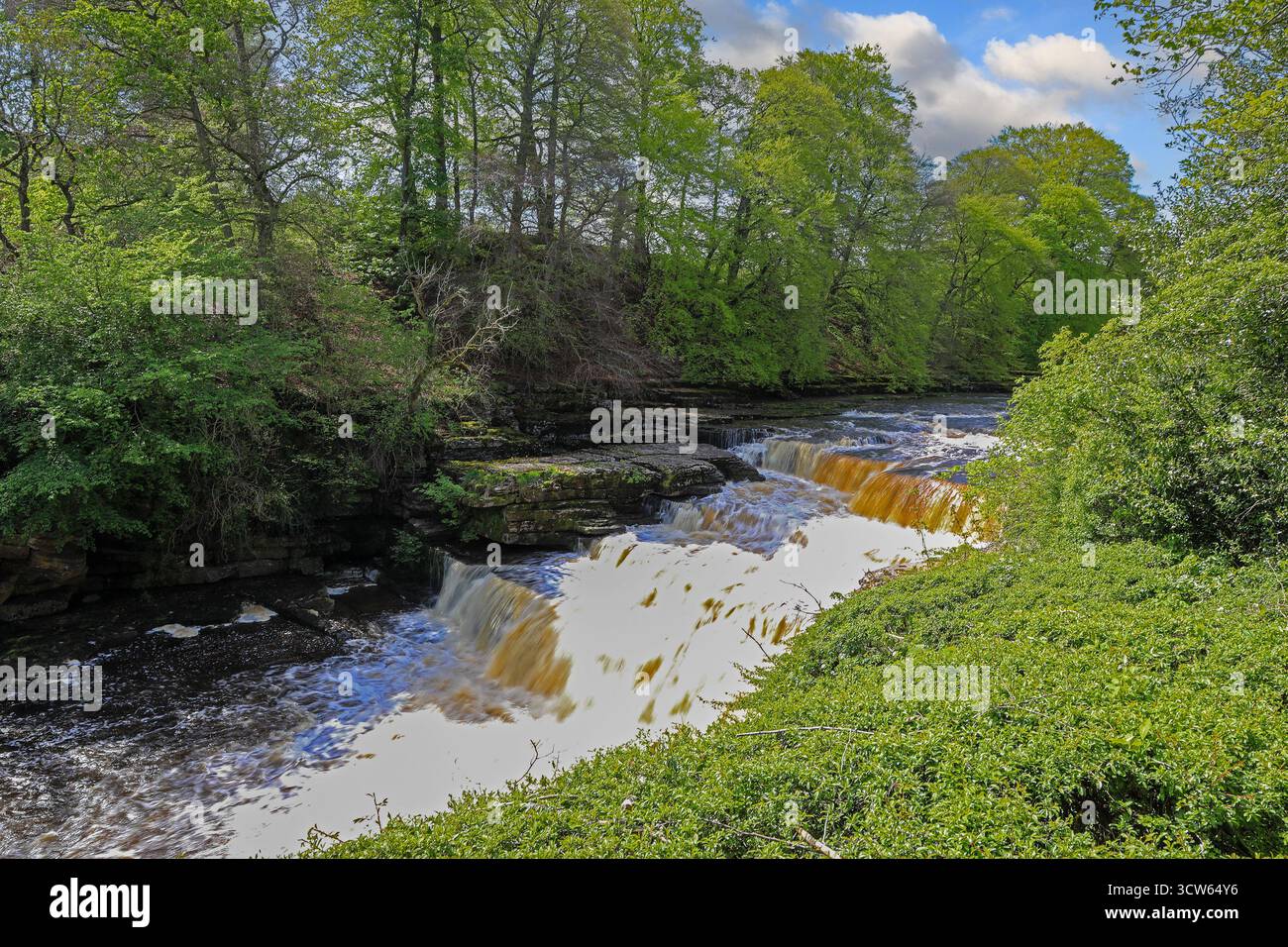 Aysgarth Falls, Middle Falls, Aysgarth, Leyburn, Yorkshire, England, UK ...