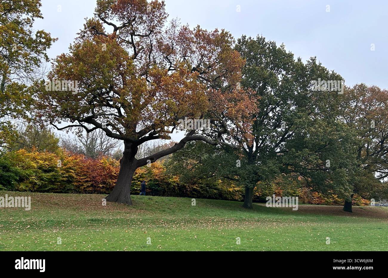 Rothamsted park in harpenden hi-res stock photography and images - Alamy