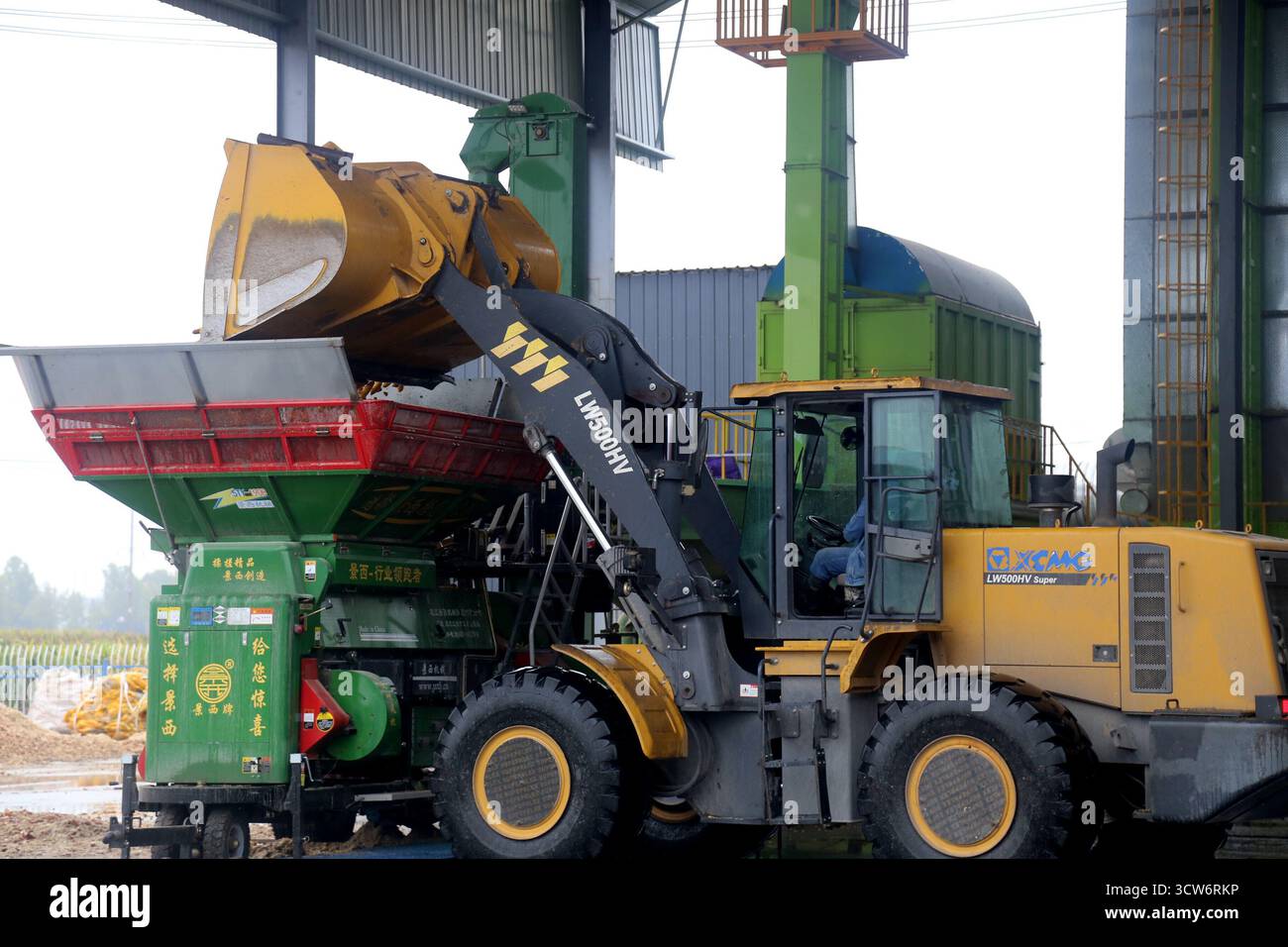 A loader works at a grain drying station in Binzhou in east China's ...