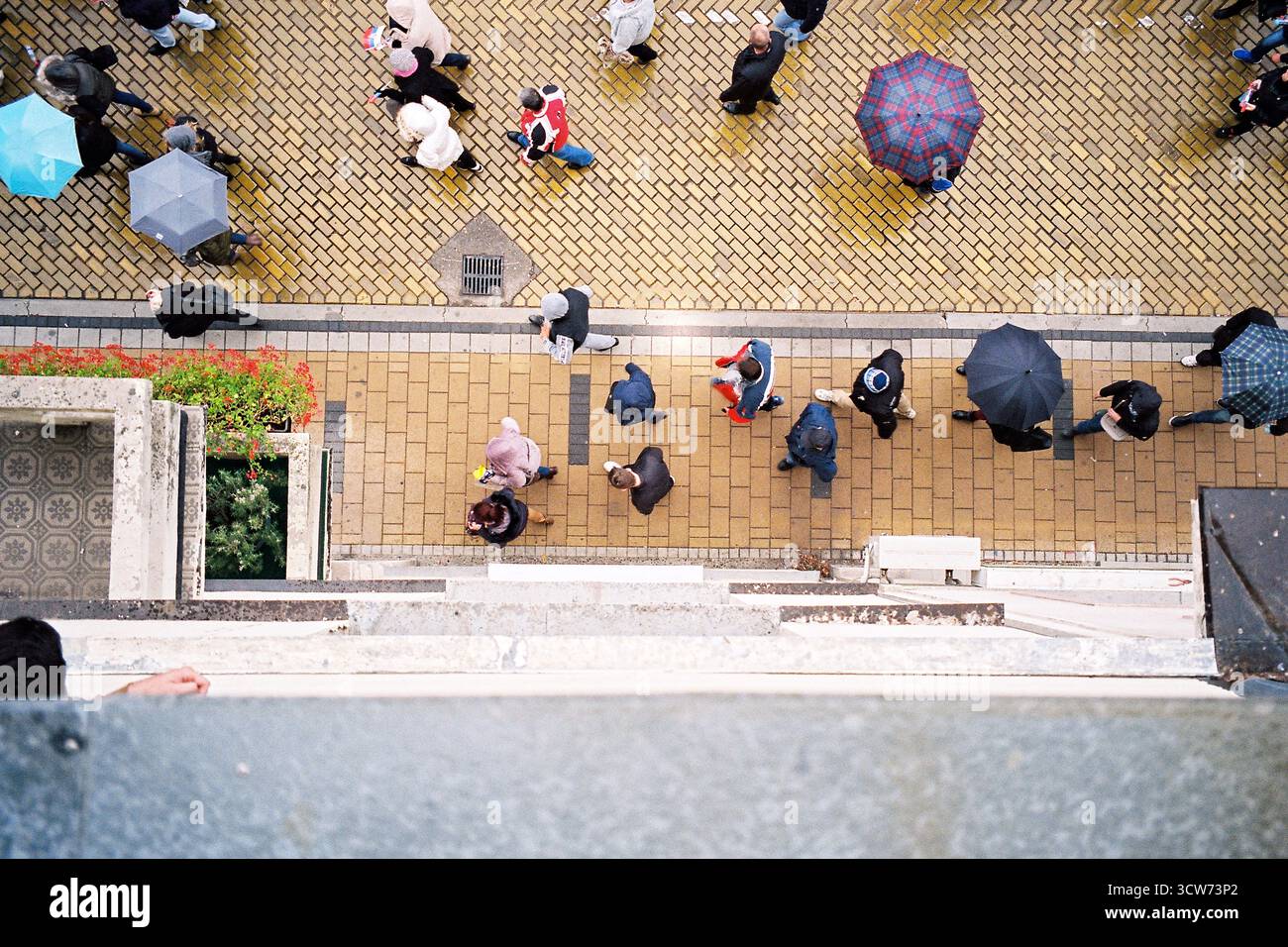 Vertical high-angle shot of people returning from a rally, some with ...
