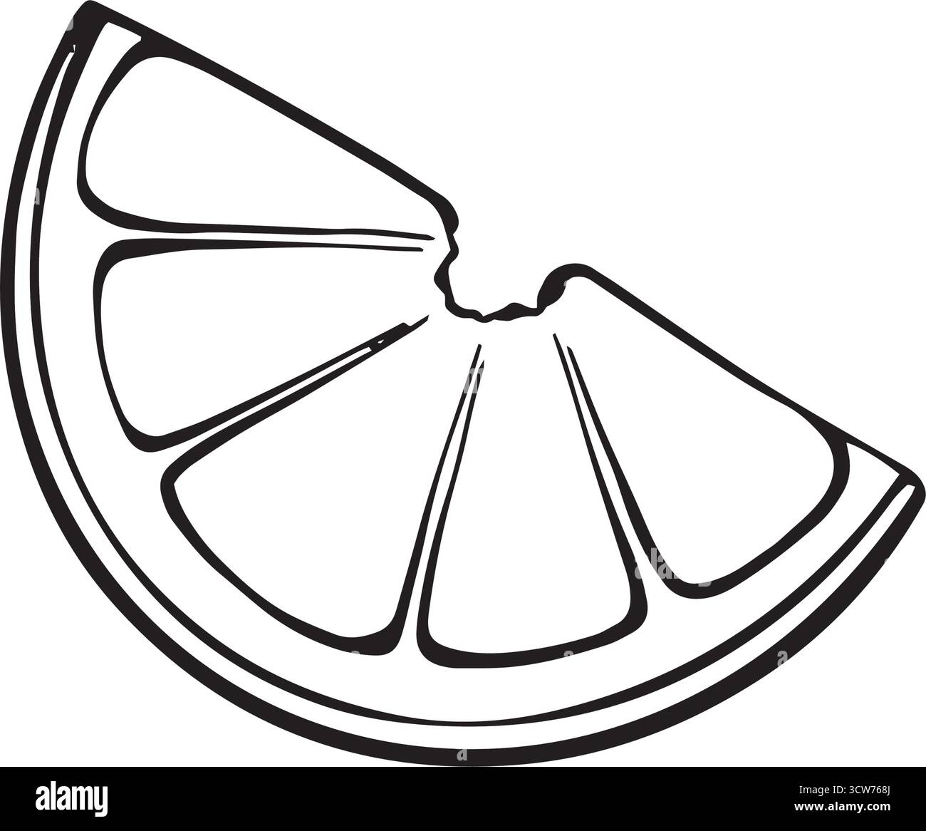 Citrus slice, vector linear drawing in minimalist outline style white ...