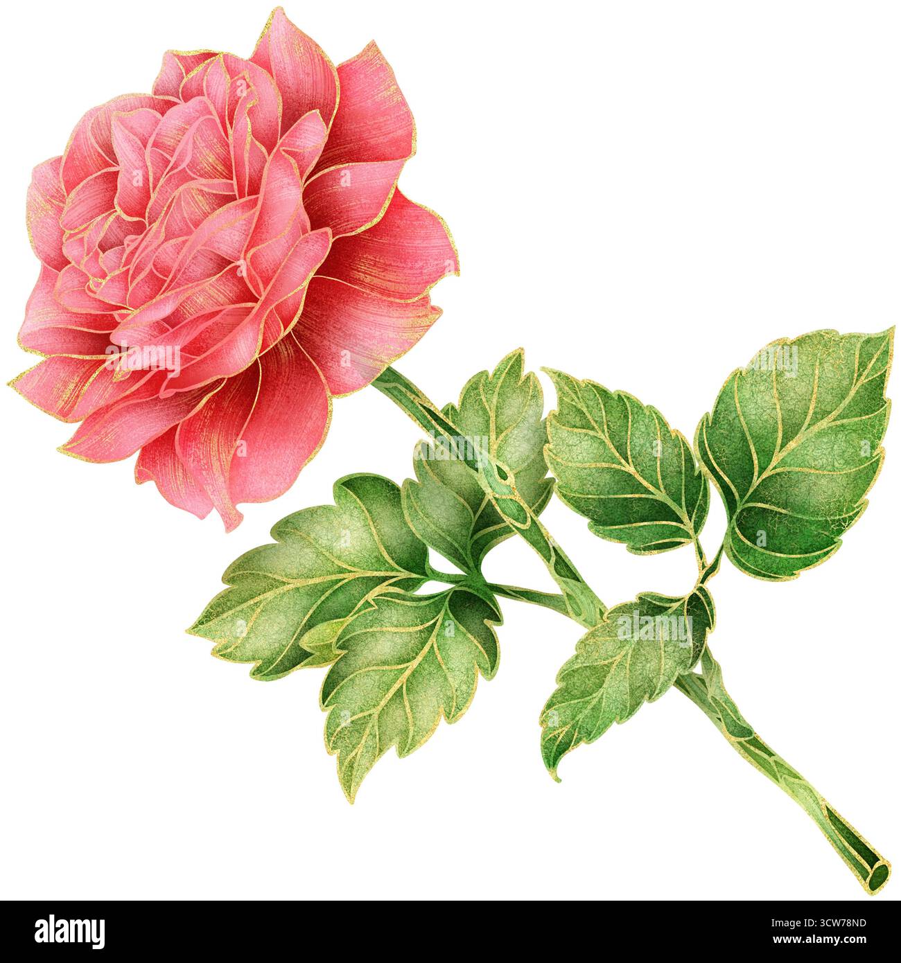 Enhanced colors Cut Out Stock Images & Pictures - Alamy