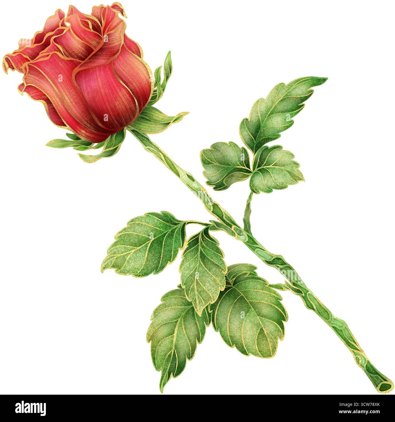 Transparent rose watercolor pattern Cut Out Stock Images & Pictures - Alamy