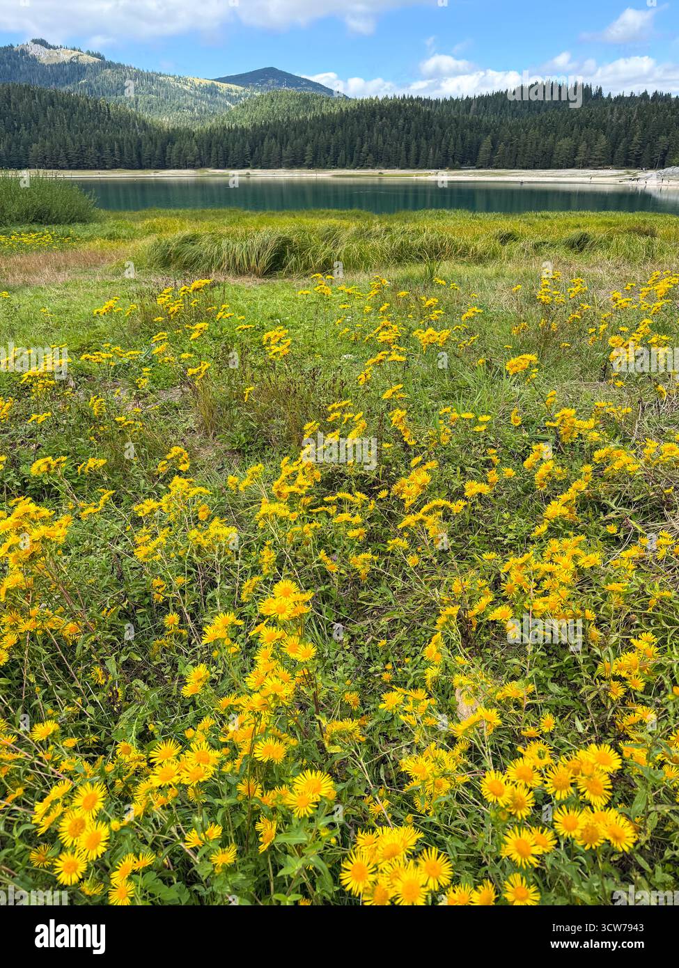 Black Lake (Crno Jezero) Durmitor National Park, Montenegro Stock Photo ...