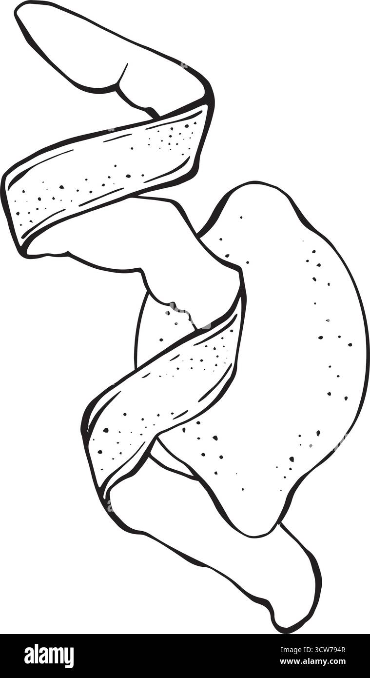 Whole lemon with spiral peel, vector linear drawing in minimalist ...