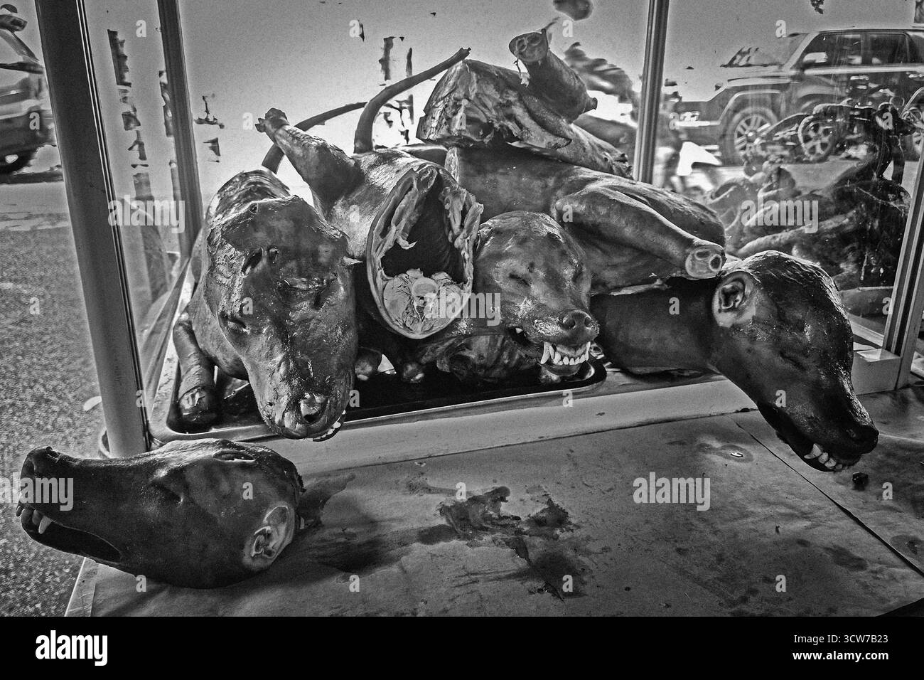 Dog meat restaurant Black and White Stock Photos & Images - Alamy