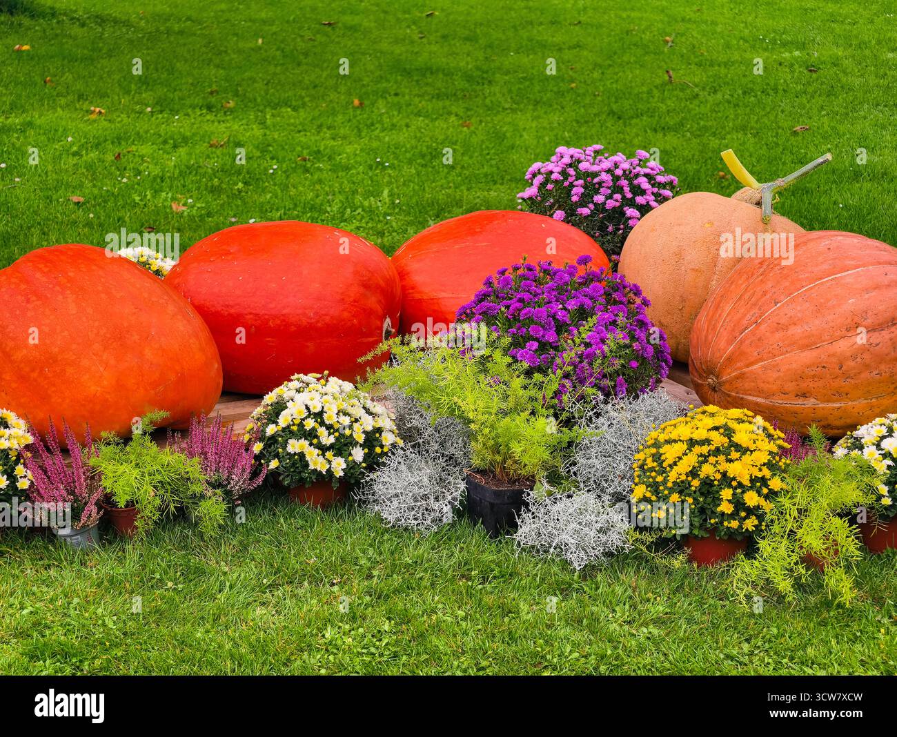 Autumn orange vegetables harvest foliage hi-res stock photography and ...