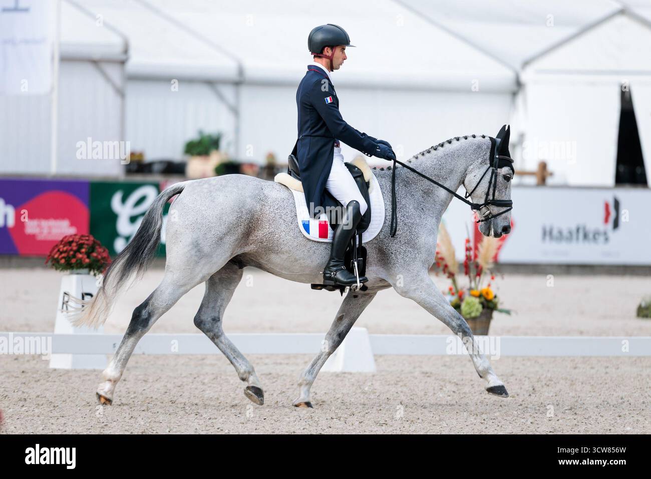 Astier Nicolas of France with Babylon de Gamma during the dressage at ...