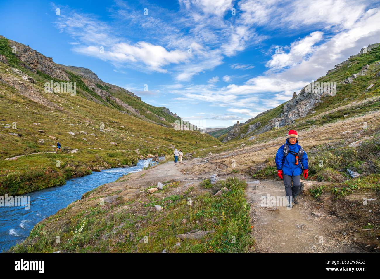 Walkers on the Savage River Loop Trail, Denali National Park, Alaska ...