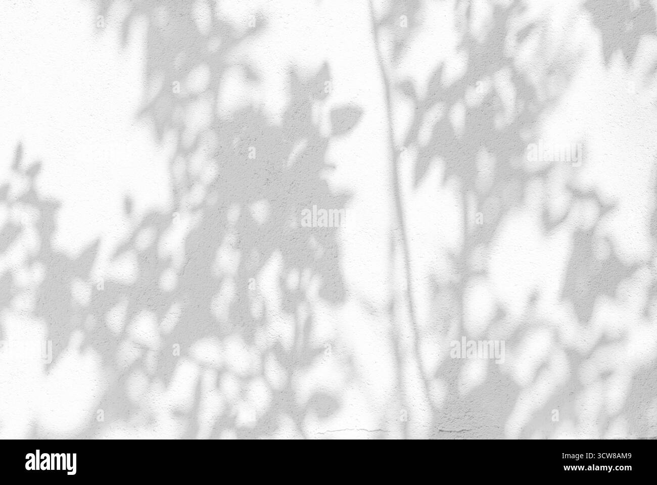Sunlight and shadows on the wall from the branches of trees Stock Photo ...
