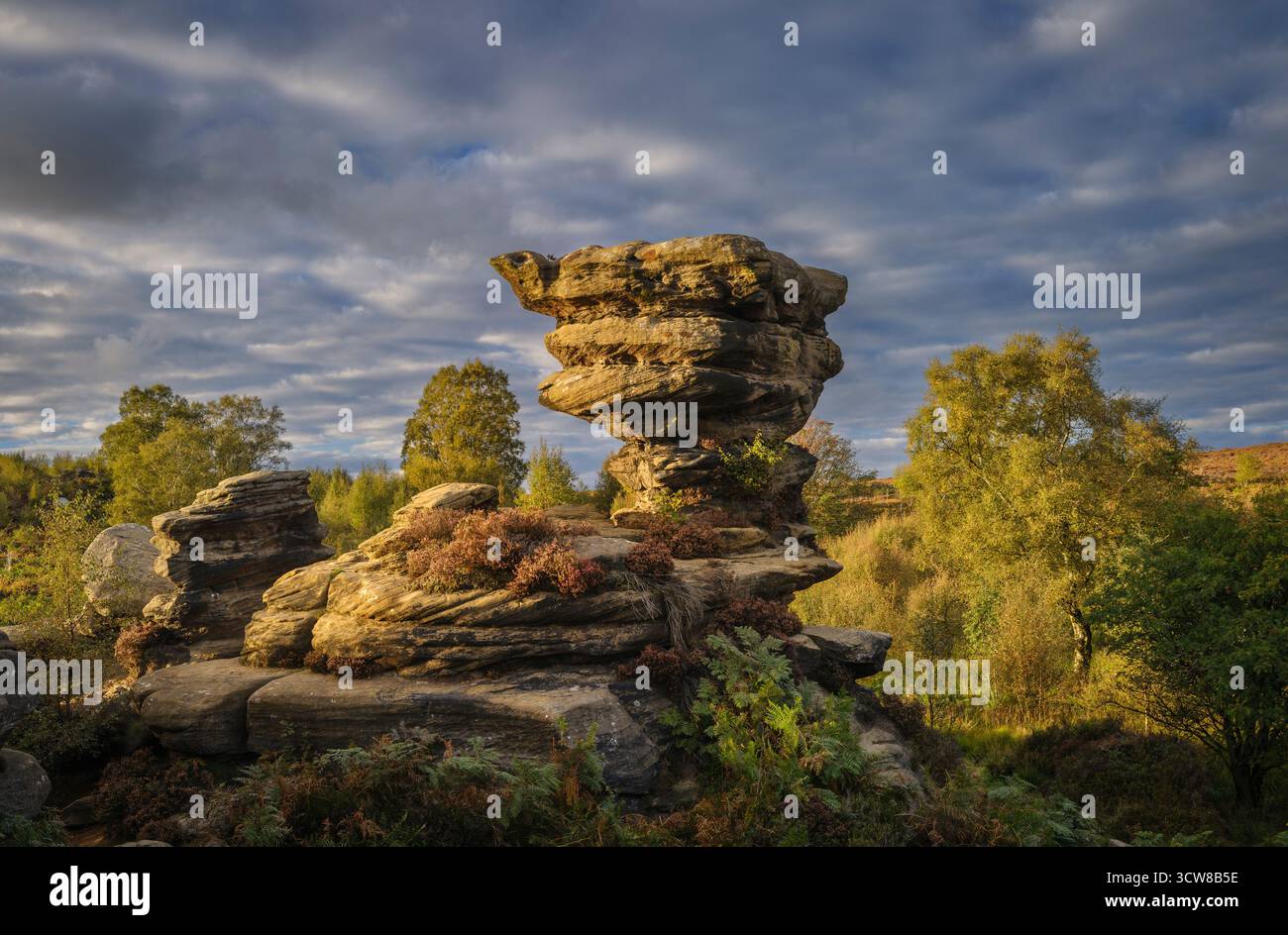 England, North Yorkshire, Brimham Rocks. Unique Rock formations of ...