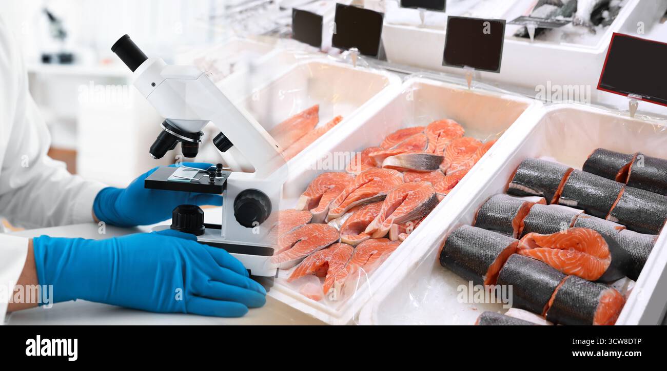 Food quality analysis. Laboratory worker using microscope, double ...