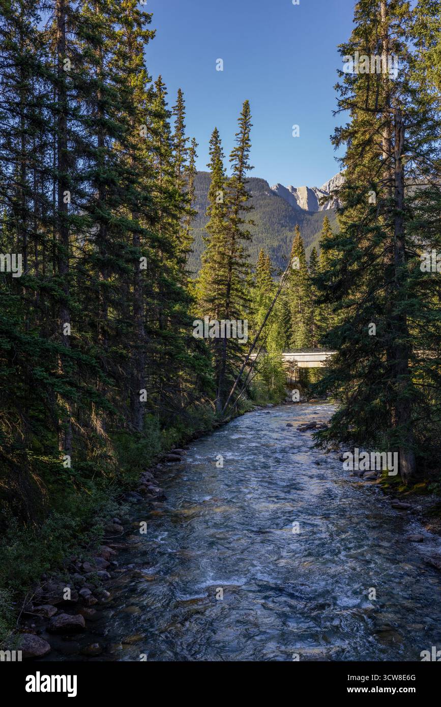 A bridge over the rushing glacier-fed water of Jonston Creek along the ...