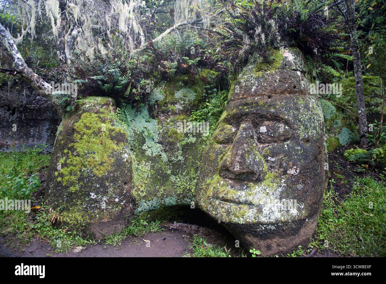 Stone face at Asilo de la Paz ("Heaven of Peace", Floreana Island ...