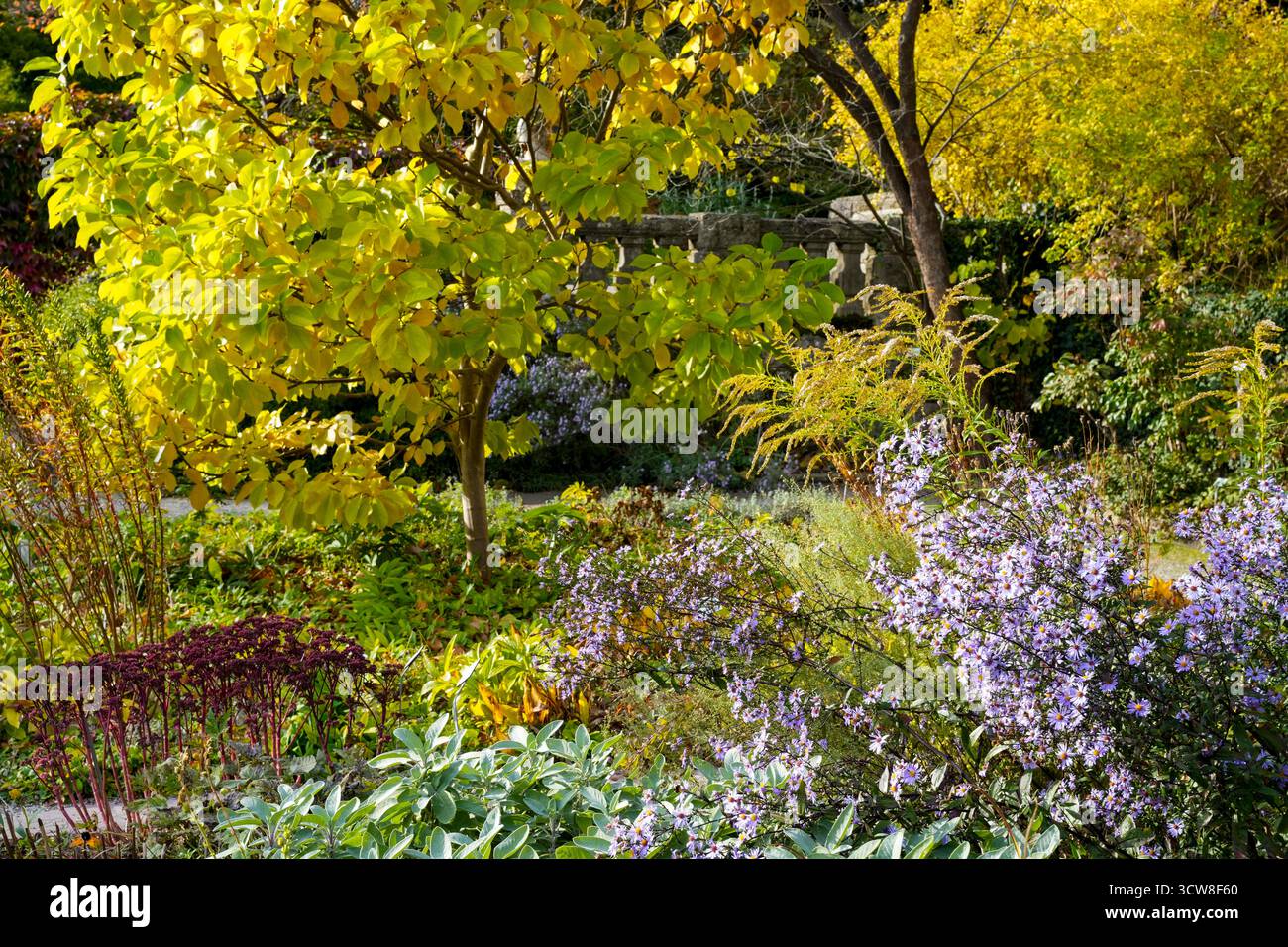 Beautiful Park Landscape In The Botanical Garden. In The Foreground A ...