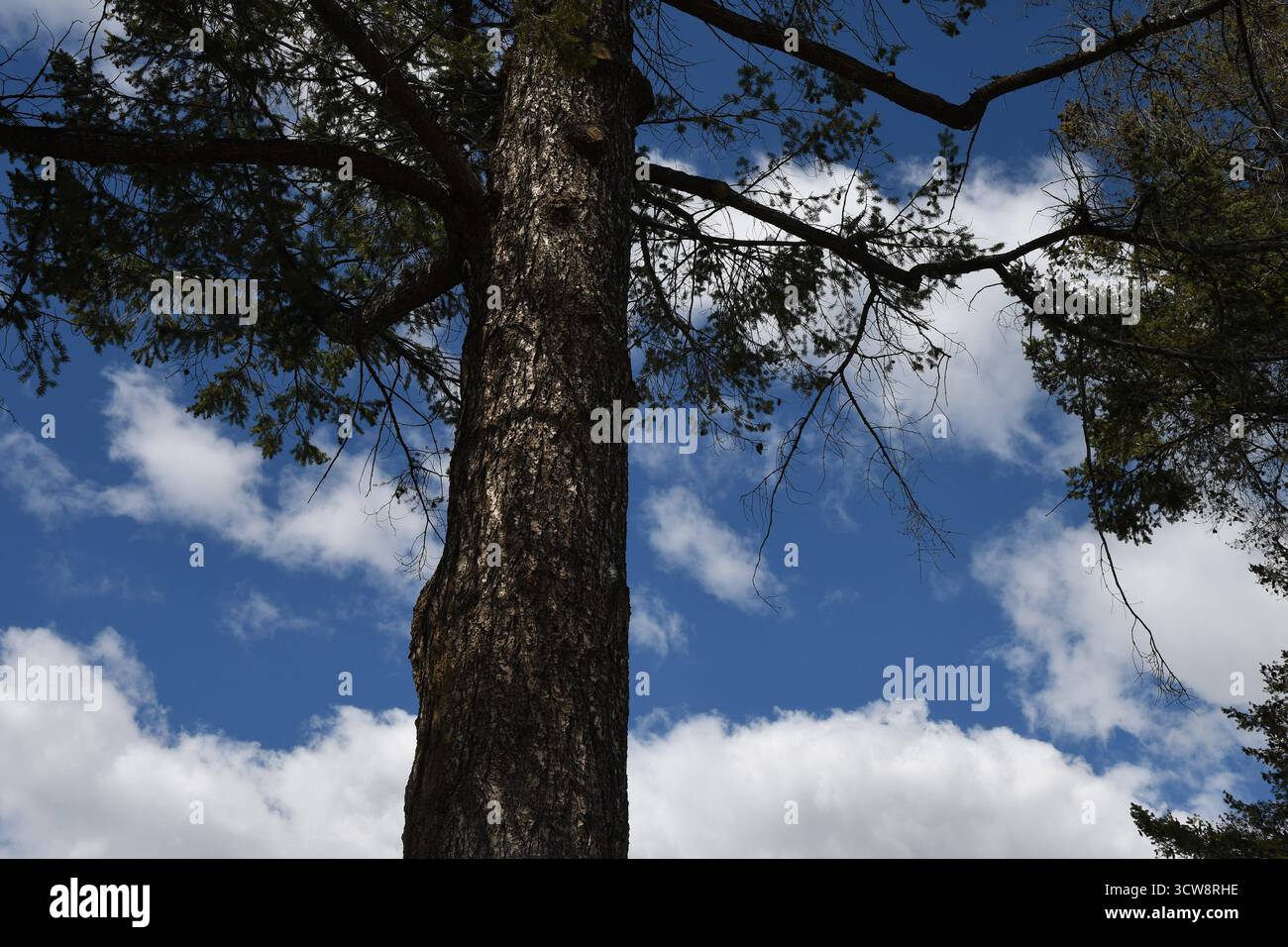 Lewiston /Idaho/USA./ 28.April 2019/ White clouds bue sky on sun shine ...