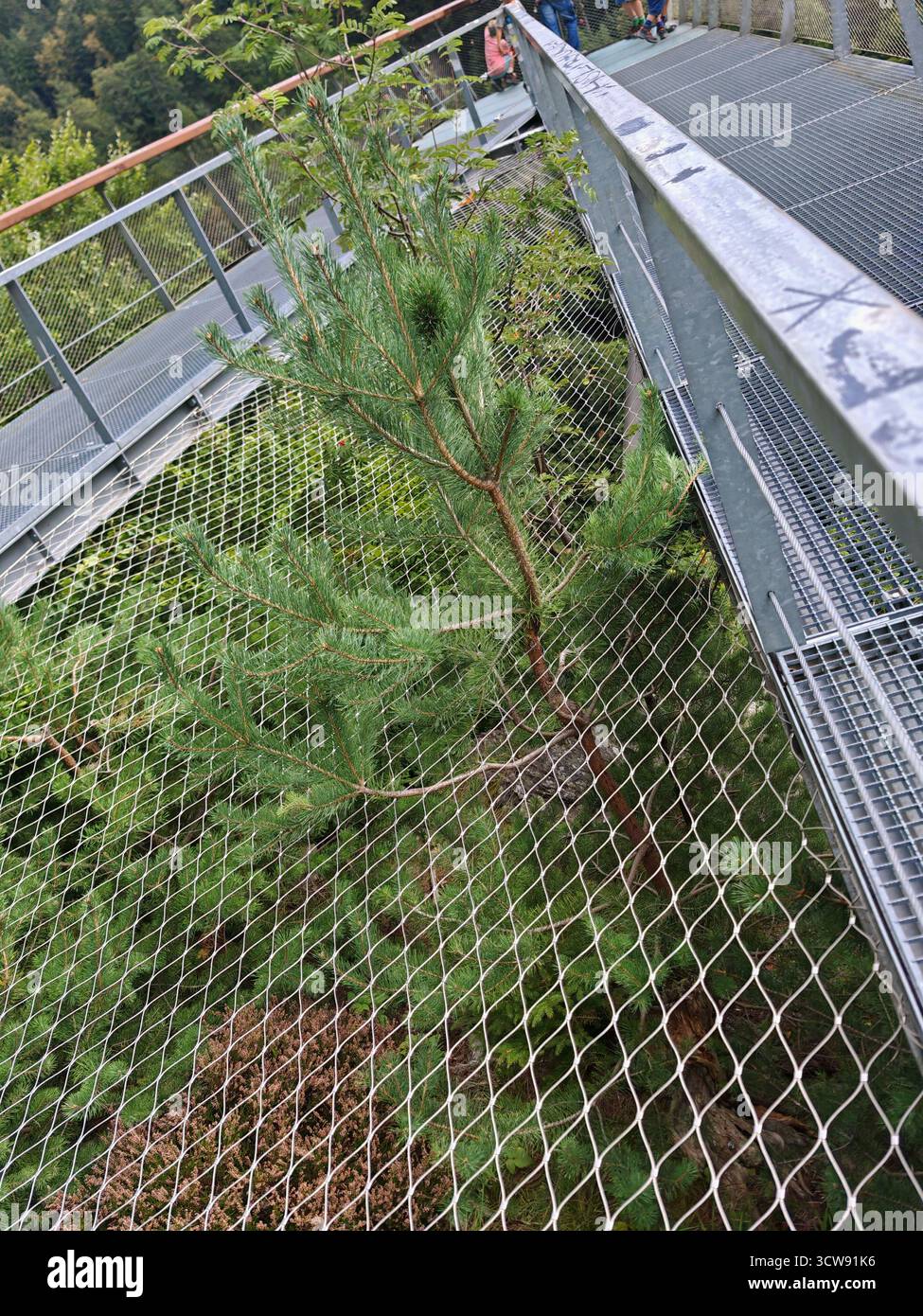 a pedestrian bridge build for crossing natural obstacles by foot ...
