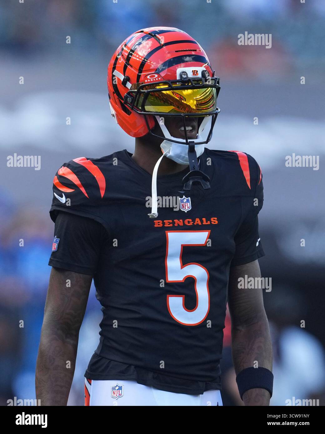 Cincinnati Bengals wide receiver Tee Higgins looks on during an NFL ...