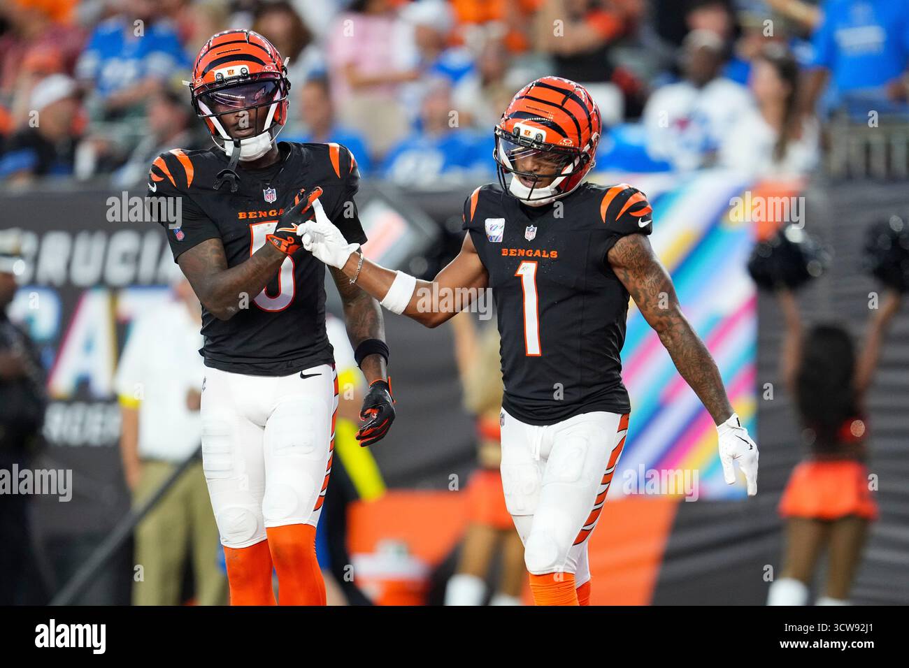 Cincinnati Bengals wide receiver Tee Higgins (5) celebrates with ...
