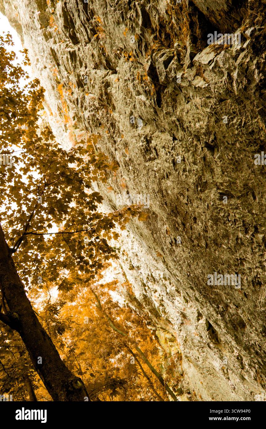 Vertical perspective massive golden hi-res stock photography and images ...