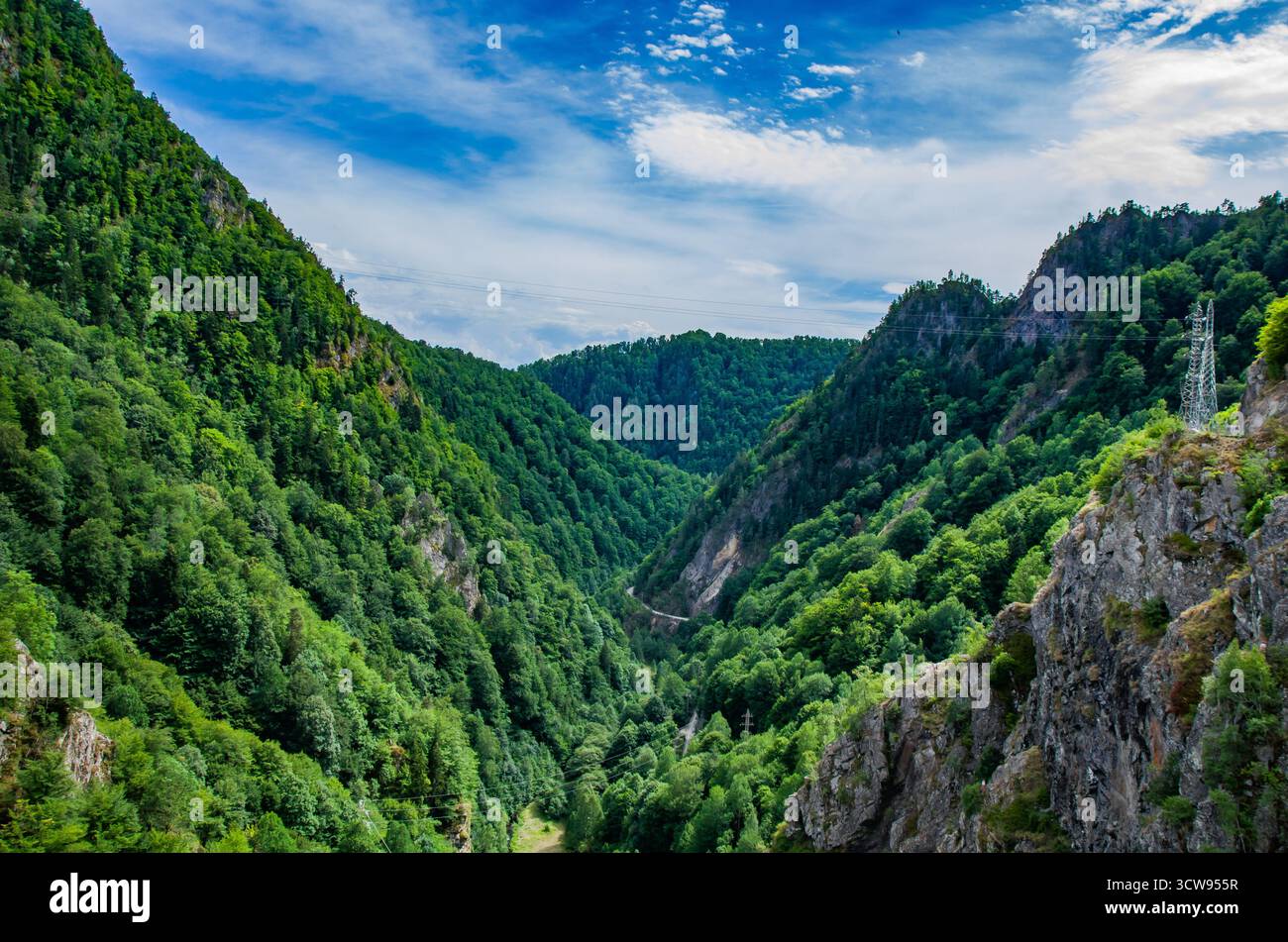 Majestic Forested Mountain Valley Gorge with Power Lines Under Blue Sky ...