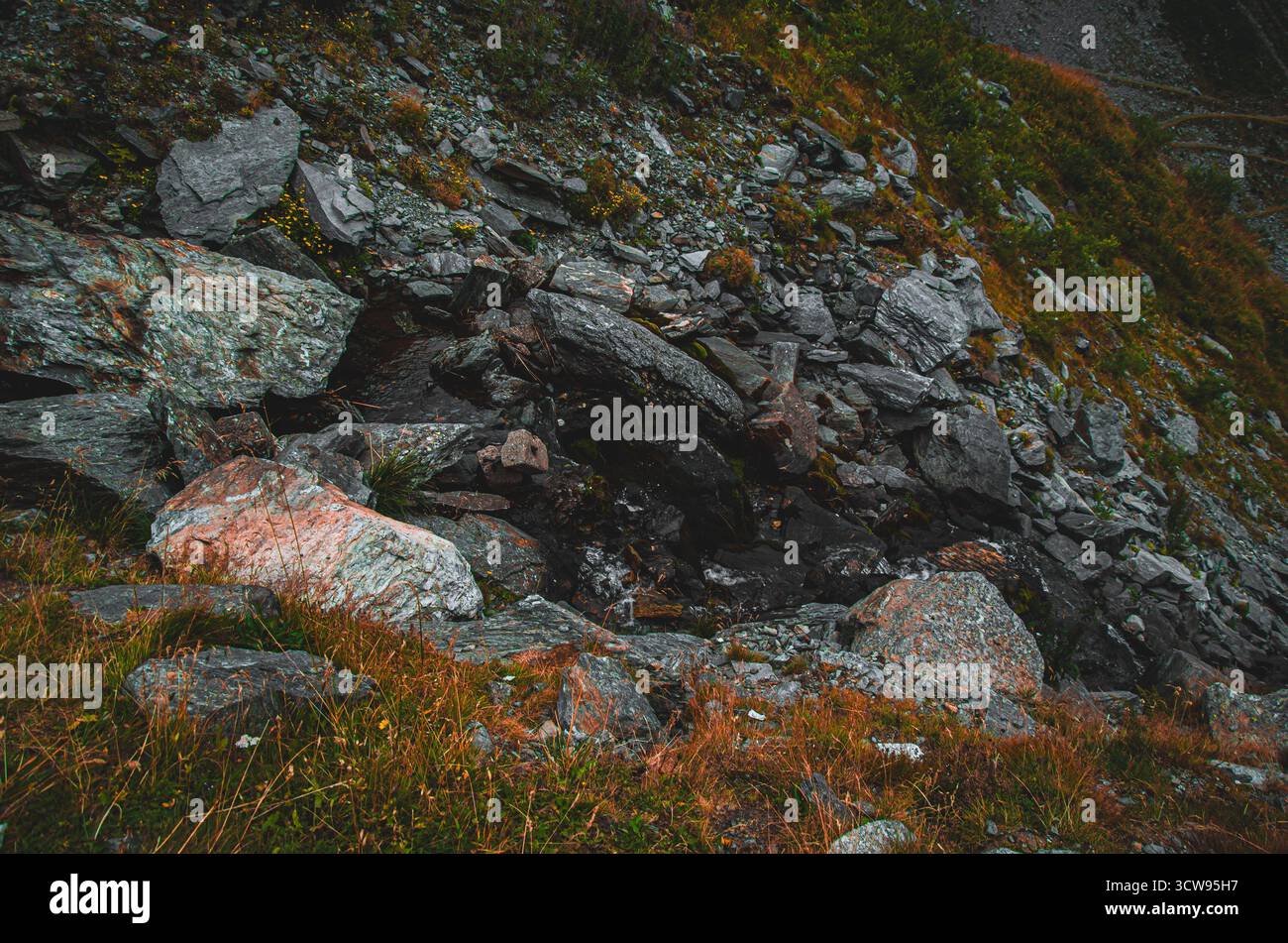 Moody Texture of Rugged Alpine Slope Covered in Boulders, Scree, and ...