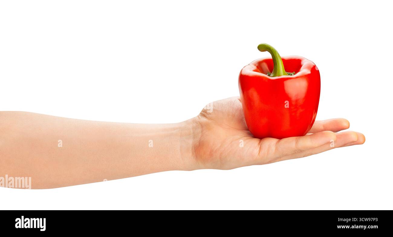 bell pepper in hand path isolated on white Stock Photo - Alamy