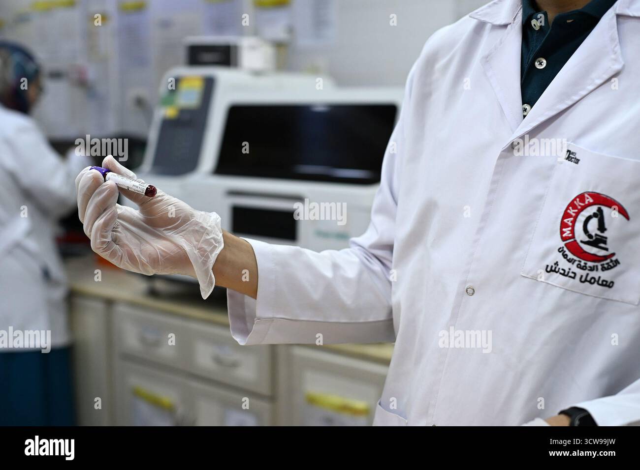 Medical laboratory equipment inside Mecca Lab in Ismailia, Egypt Stock ...