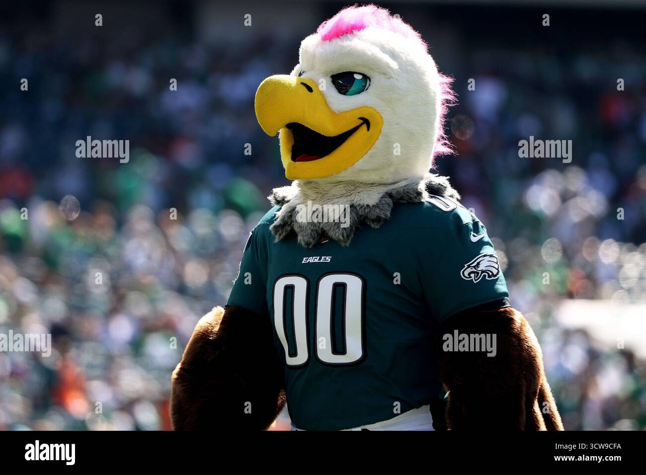 The Philadelphia Eagles mascot performs before an NFL football game ...