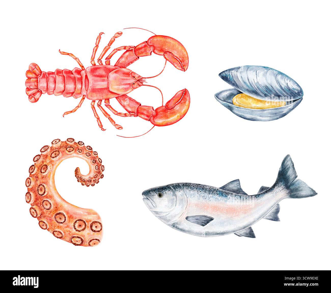 Realistic octopus Cut Out Stock Images & Pictures - Alamy