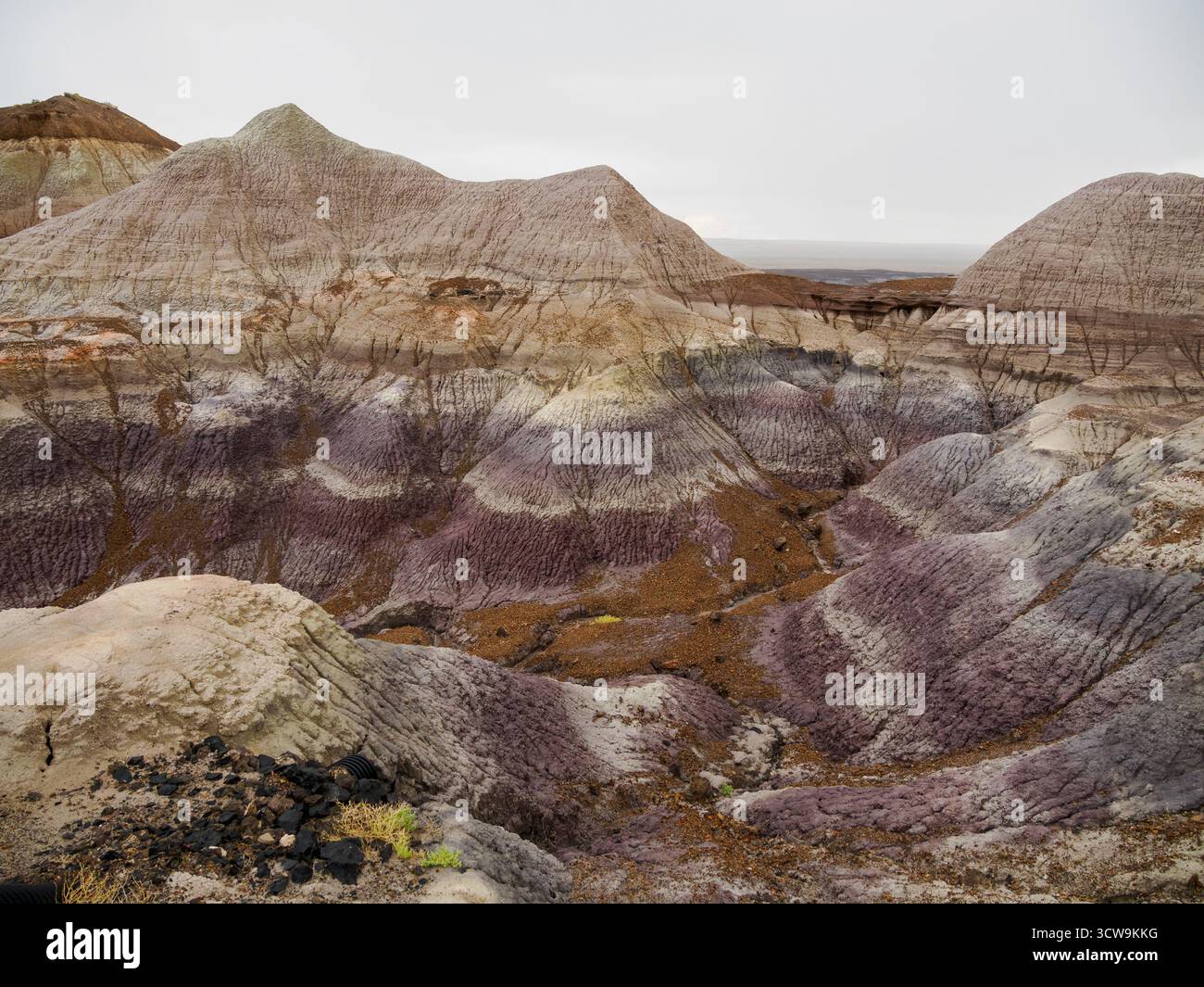 Visitors badlands national park hi-res stock photography and images - Alamy