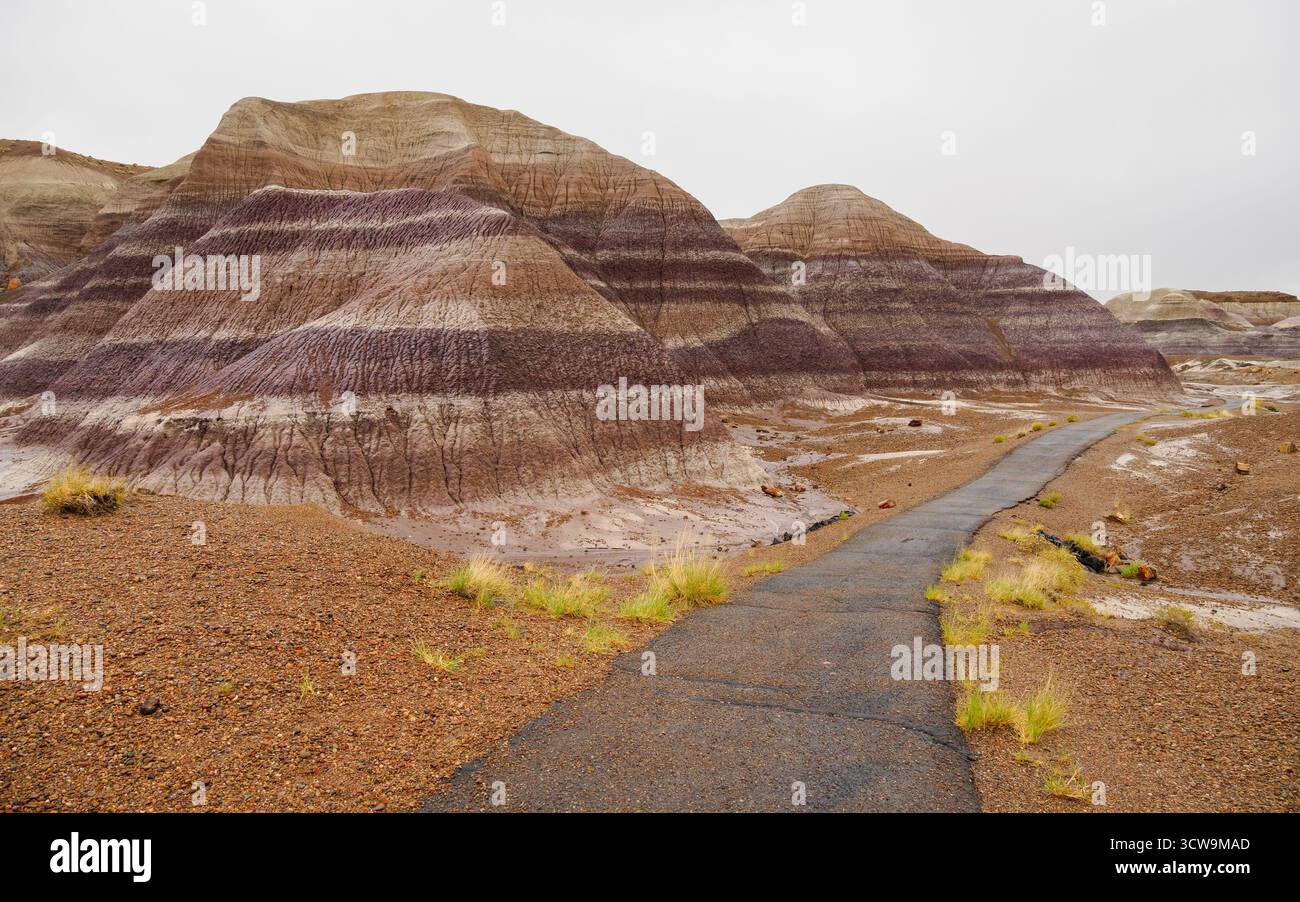 Visitors badlands national park hi-res stock photography and images - Alamy
